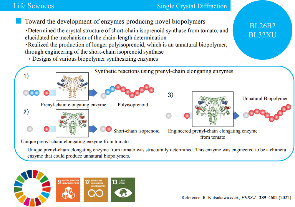 SPring-8 — 大型放射光施設